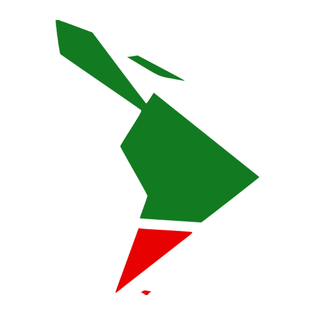 Patria Grande – Camisa Crítica